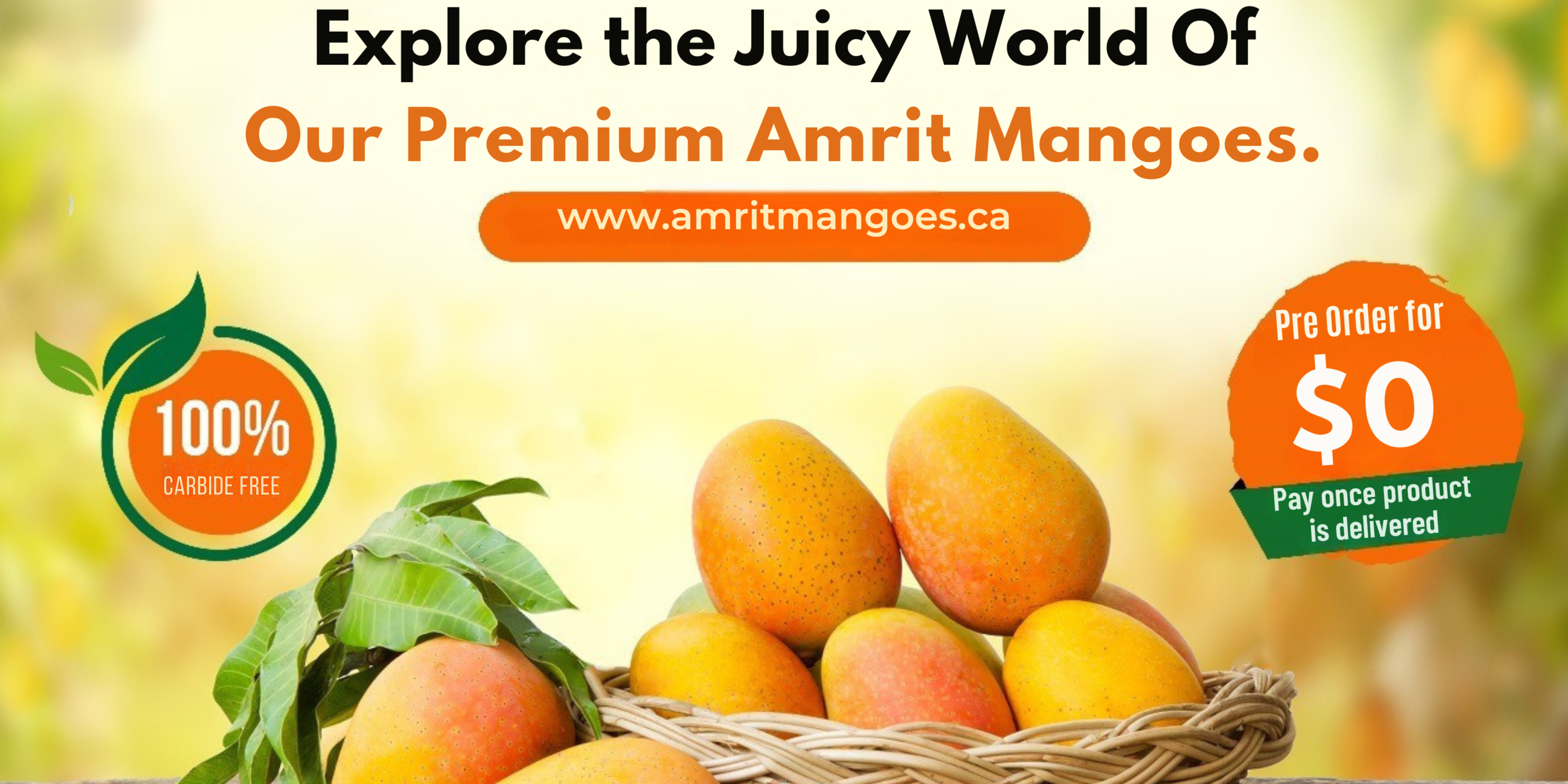 Amrit Mangoes - Premium Mangoes from India